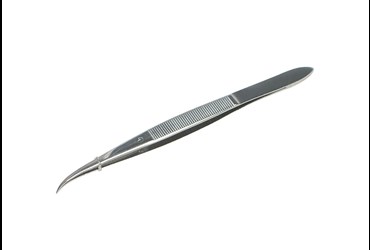 Dissecting Forceps for Biology and Life Science
