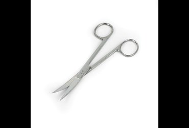 Surgical Dissection Scissors for Biology and Life Science
