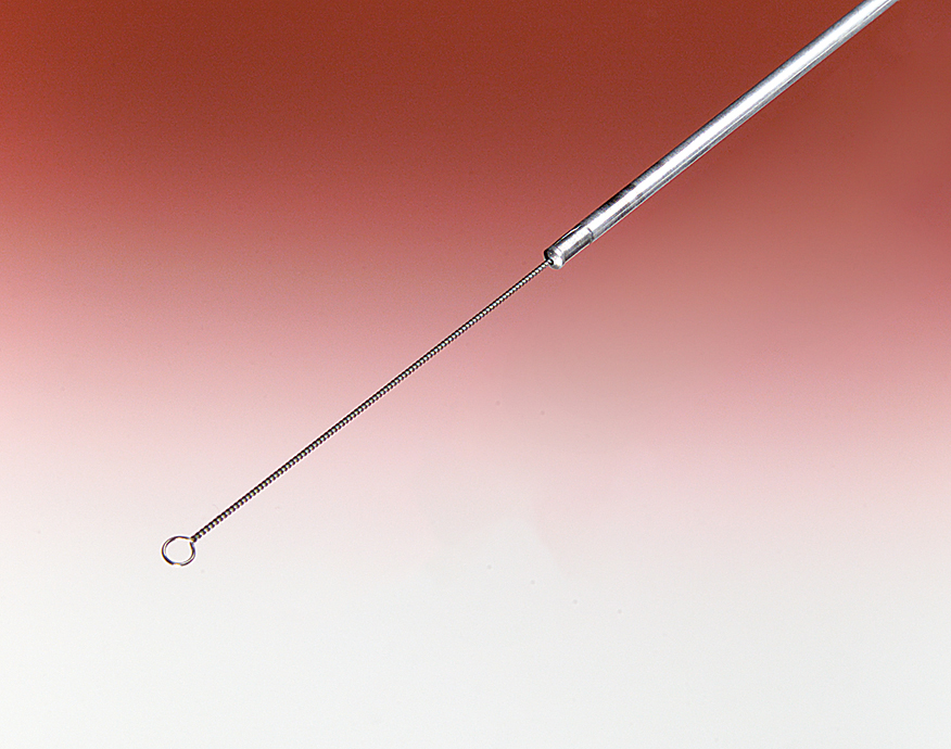 Inoculating Loop Nichrome Wire Flinn Scientific Inoculating Loop Nichrome Wire Flinn Scientific