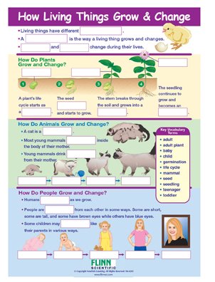 Product 40670 | Flinn Scientific