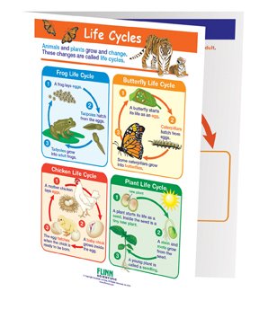 Life Cycles—NewPath Visual Learning Guide, Set of 10 | Flinn Scientific