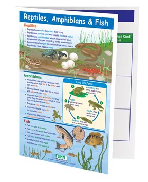 Reptiles, Amphibians and Fish—NewPath Visual Learning Guide, Set of 10 ...