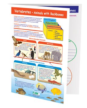 Vertebrates—Animals With Backbones—NewPath Visual Learning Guide, Set ...