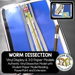 Getting Nerdy® Science—Scienstructable 3-D Dissection: Worm Vinyl Model | Flinn Scientific