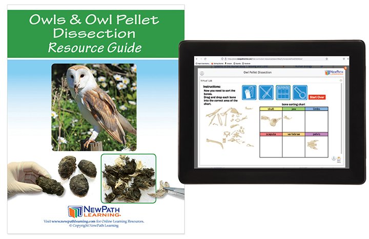 Owl Pellet Dissection Resource Guide with Online Multimedia Lesson ...