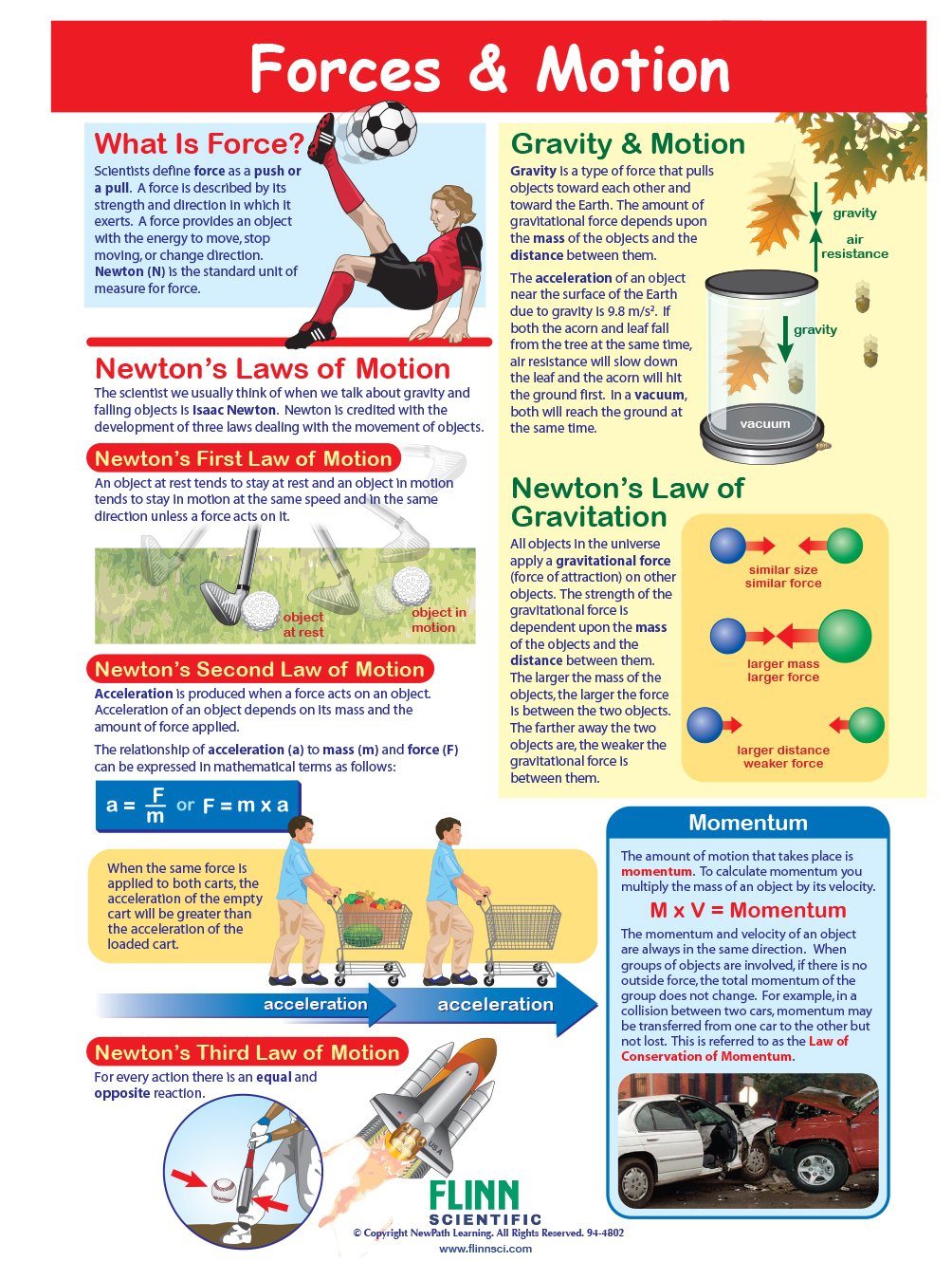 Forces & Motion—NewPath Visual Learning Guide, Set of 10 | Flinn Scientific