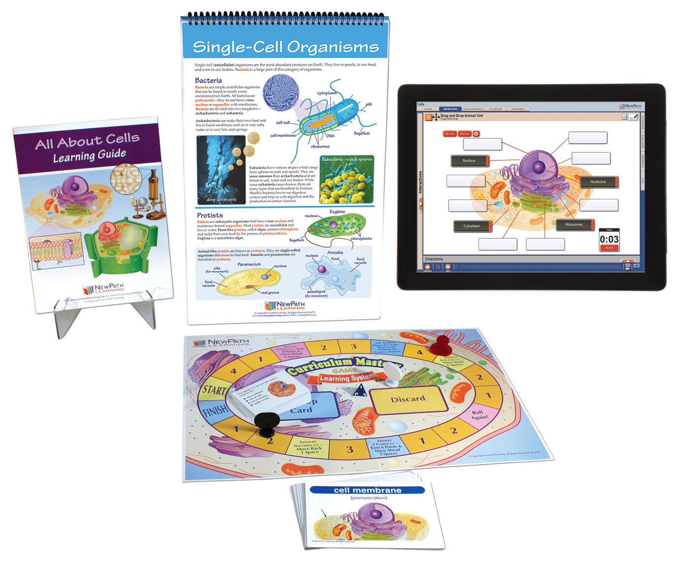 All About Cells - NewPath Curriculum Learning Module | Flinn Scientific