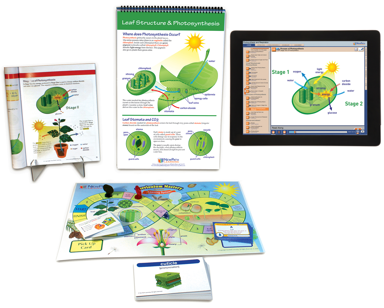 Photosynthesis & Respiration - NewPath Curriculum Learning Module ...