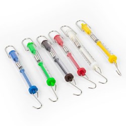 Spring Scale, Pull Type, 1000 g/10 N | Flinn Scientific