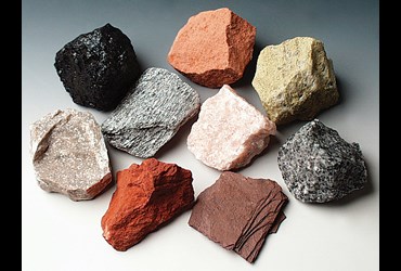 Product 15260 | Flinn Scientific