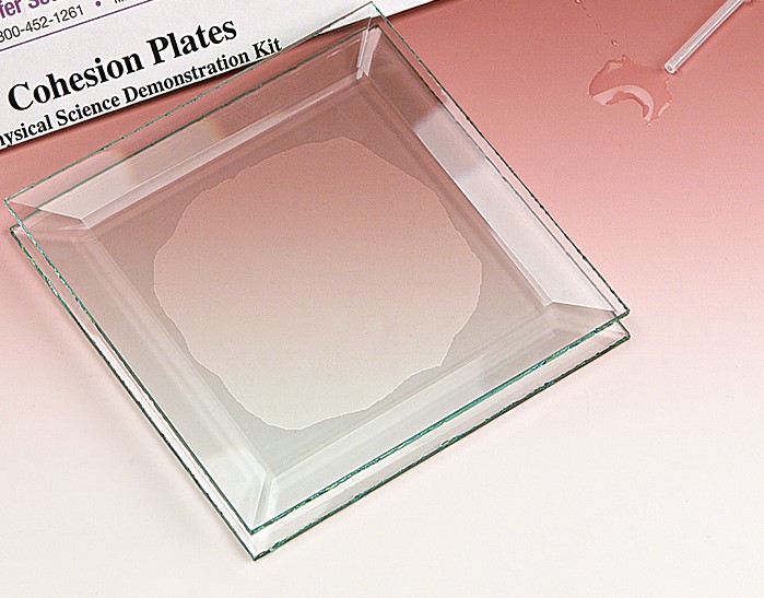 Cohesion Plates—Demonstration Kit | Flinn Scientific