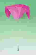 Egg-Streme Parachuting—Flinn STEM Design Challenge™ | Flinn Scientific