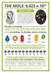 Compound Interest™ The Mole Poster | Flinn Scientific