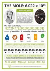 Compound Interest™ The Mole Poster | Flinn Scientific