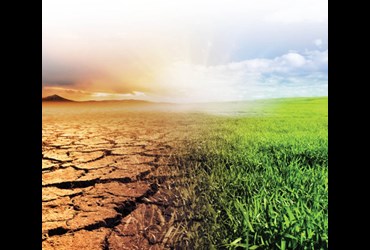 IMSA Fusion STEM Curriculum—Premium Modules | Flinn Scientific