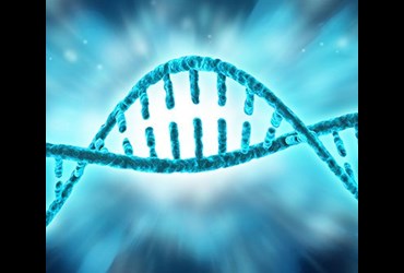 Try a Unit from the Award-Winning IMSA Fusion STEM Program