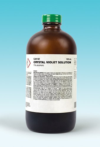 Crystal Violet Solution 1%, 100 mL | Flinn Scientific