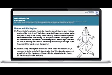 Flinn Digital Dissection Labs, 1-Year Access