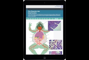 Flinn Digital Dissection Labs, 1-Year Access