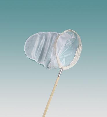 Insect Net, Student | Flinn Scientific