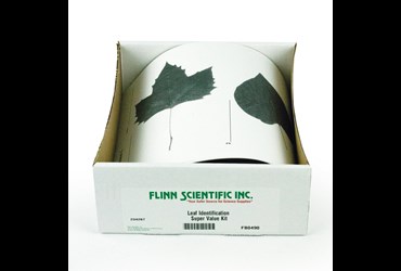 Leaf Identification—Super Value Kits | Flinn Scientific