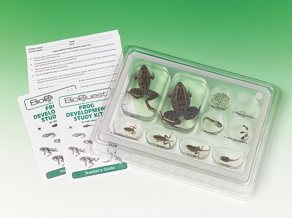 Frog Development Study Kit | Flinn Scientific