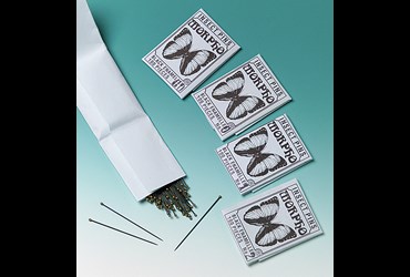 Insect Pins for Biology and Life Science