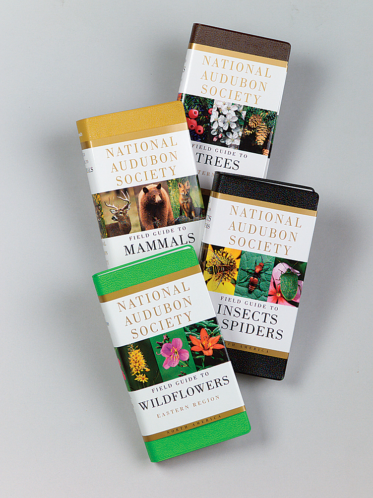 Audubon Field Guides to North America—Field Guide to Insects and ...