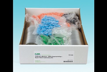 A Murder Mystery: DNA Fingerprinting—Super Value Laboratory Kit | Flinn ...