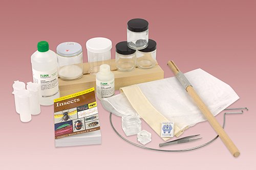 Beginning Entomology Kit | Flinn Scientific