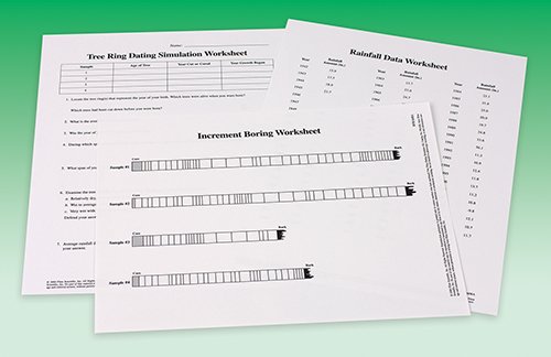 Tree Ring Dating Simulation—Student Activity Kit | Flinn Scientific