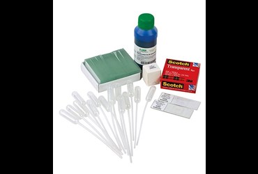 Exploring Plant and Animal Cells Laboratory Kits for Biology and Life ...