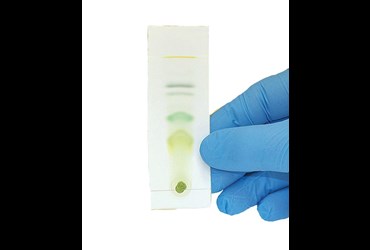 Plant Pigments and Photosynthesis Laboratory Kits for Classic AP ...