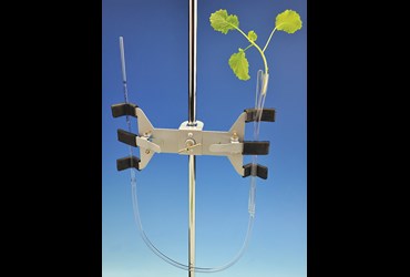 Transpiration Laboratory Kits for Classic AP* Biology Lab 9A