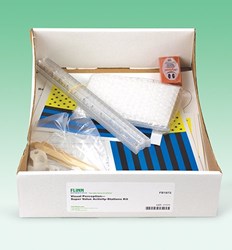Visual Perception—Super Value Activity-Stations Kit | Flinn Scientific