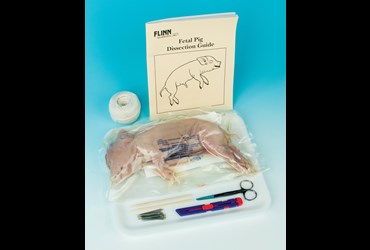 Product 14079 | Flinn Scientific