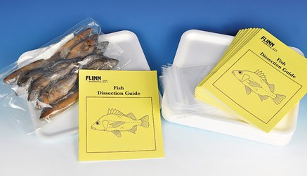 Fish Classroom Dissection Kit | Flinn Scientific