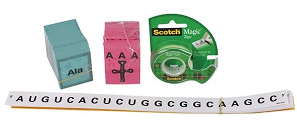 Protein Synthesis—Student Laboratory Kit | Flinn Scientific