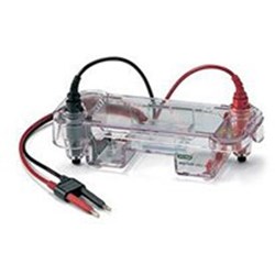 BioRad Mini-Sub Cell GT with 8-Well Combs and Caster | Flinn Scientific