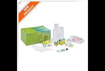 pGLO Transformation and Inquiry Kit