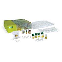 Bio-Rad Fish DNA Barcoding Kit | Flinn Scientific