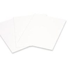 BioRad Mini Trans-Blot Filter Paper, 7.5x10 cm | Flinn Scientific