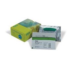 BioRad 4-15% Mini-PROTEAN TGX Precast Gel, 15-Well | Flinn Scientific