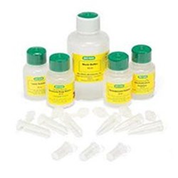 BioRad Quantum Prep Plasmid Miniprep Kit | Flinn Scientific