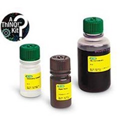 Photosynthesis and Cellular Respiration Kit