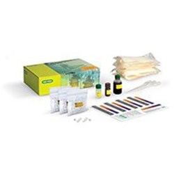 BioRad Photosynthesis and Cellular Respiration Kit for General Biology ...