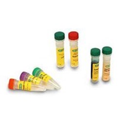 Analysis of Precut Lambda DNA Kit