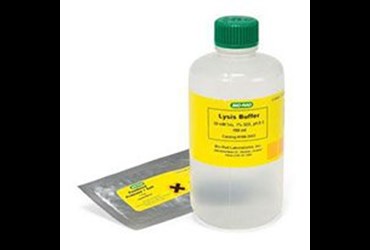 Genes In a Bottle Kit