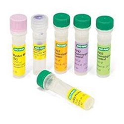 BioRad PV92 PCR Kit Temperature-Senstitive Reagent Refill | Flinn ...