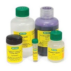 BioRad PV92 PCR Kit Room-Temperature Reagent Refill | Flinn Scientific